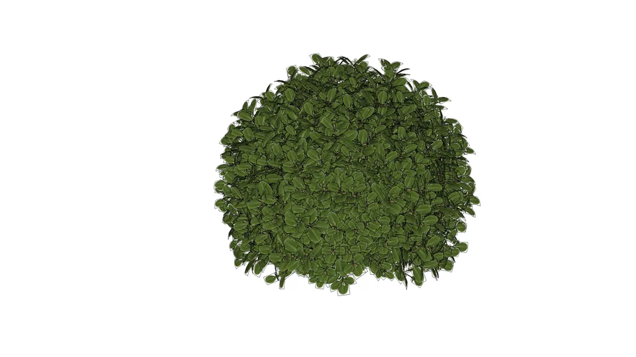 trees | 3D Warehouse