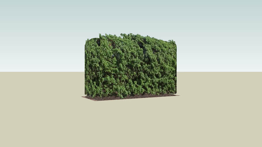HEDGE 2 | 3D Warehouse