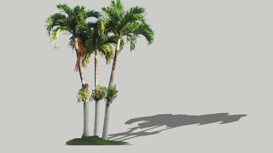 palm | 3D Warehouse