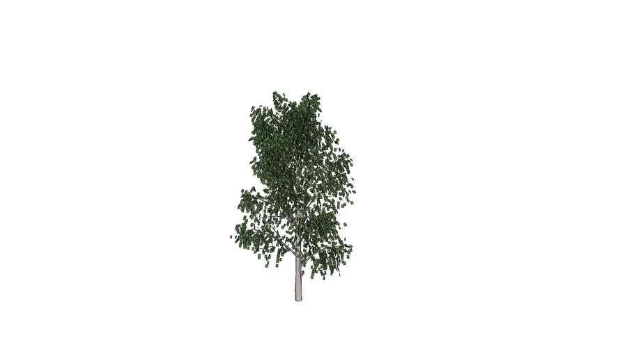 tree7 | 3D Warehouse