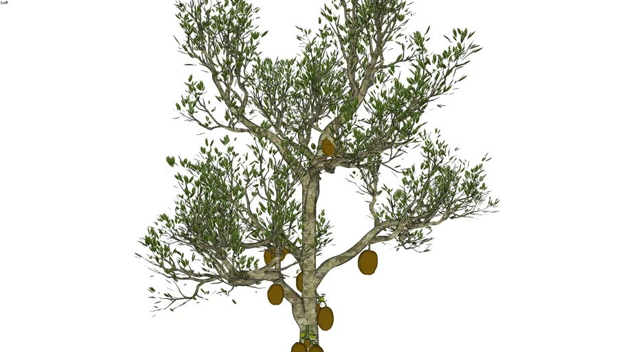 Cay mit | 3D Warehouse