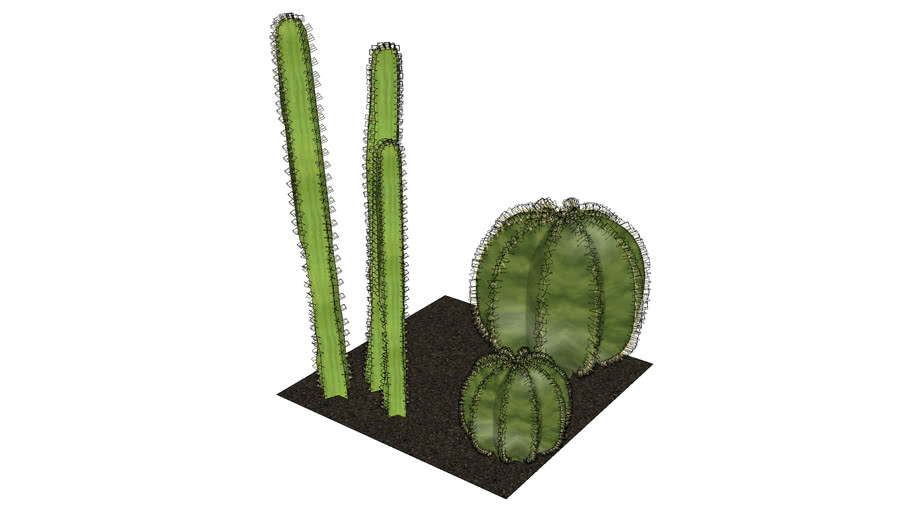Cacti Implant | 3D Warehouse