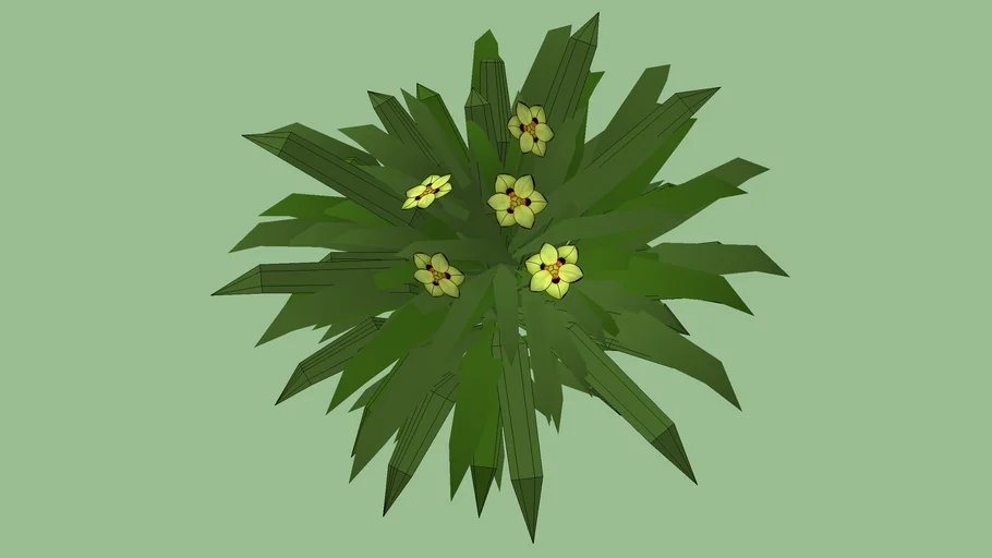 Bi-color Iris | 3D Warehouse