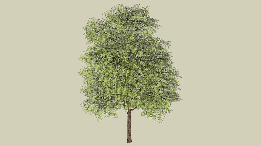 TREE1 | 3D Warehouse