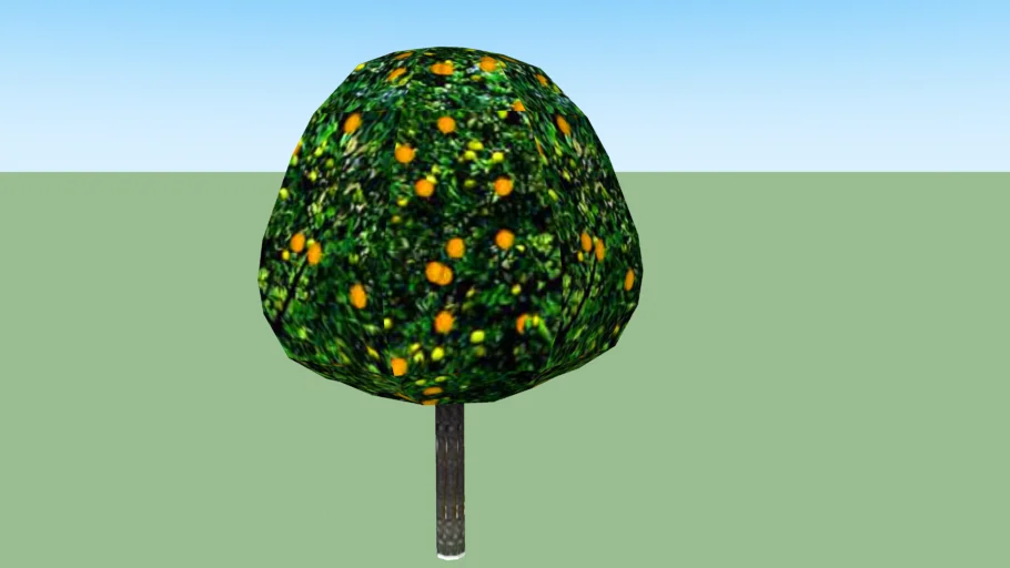 Lemon tree | 3D Warehouse