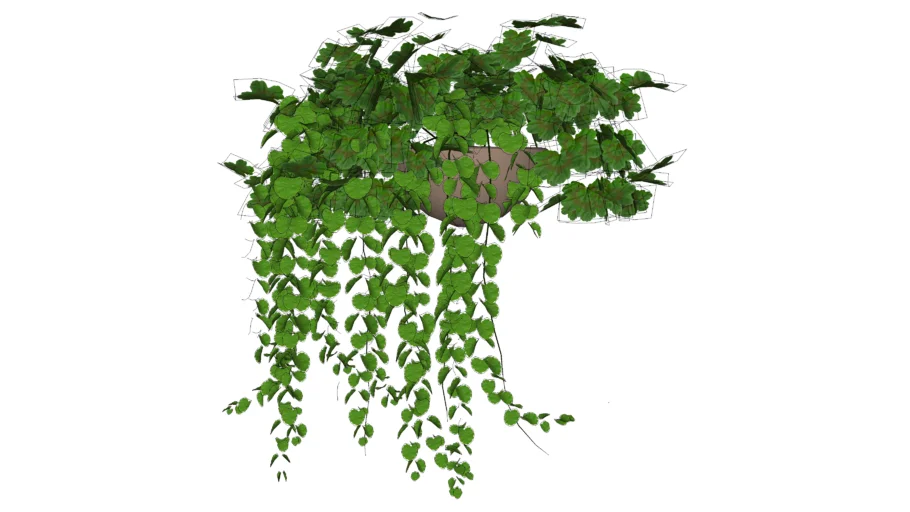 Plants | 3D Warehouse