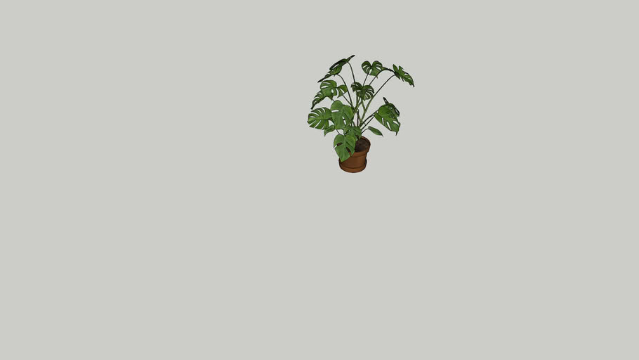 monstera | 3D Warehouse