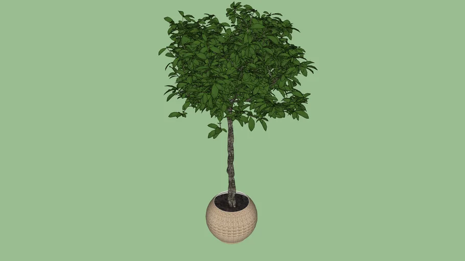 020.skp | 3D Warehouse