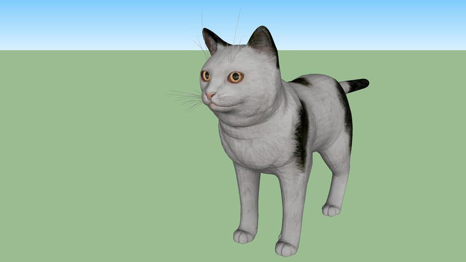 Cat | 3D Warehouse