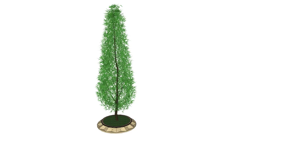 Planter | 3D Warehouse