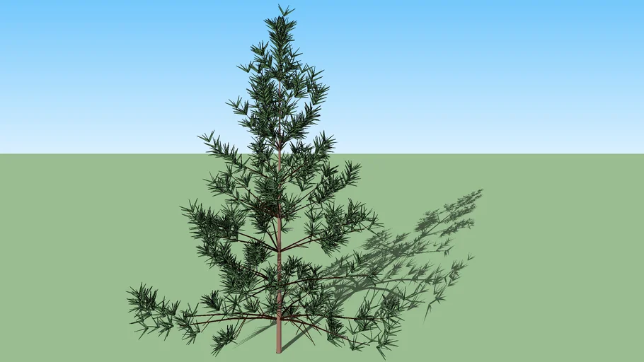 Tree 01 | 3D Warehouse