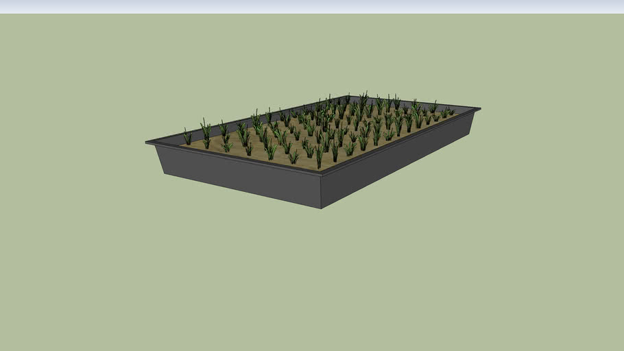 1020 Seedling tray w/ Seedlings | 3D Warehouse