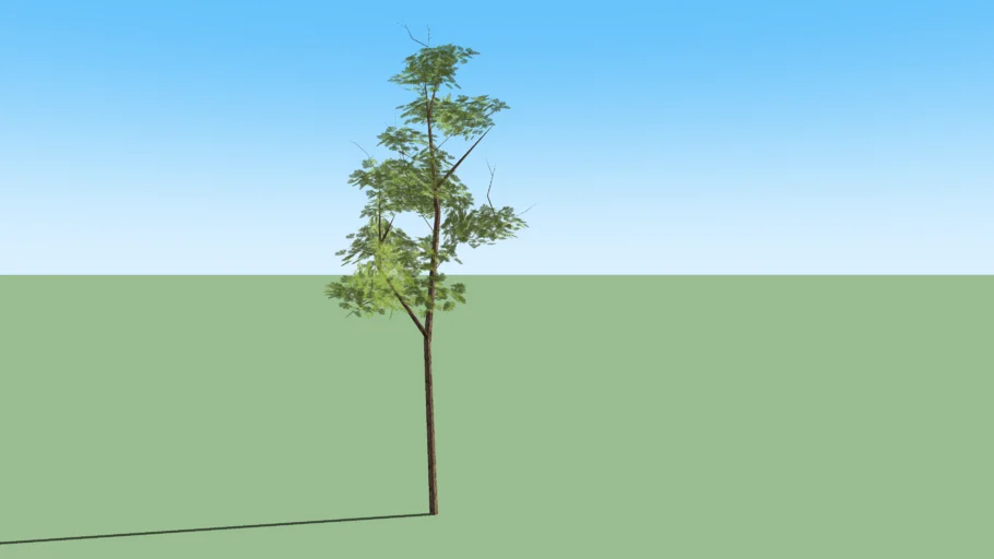 3d tree | 3D Warehouse