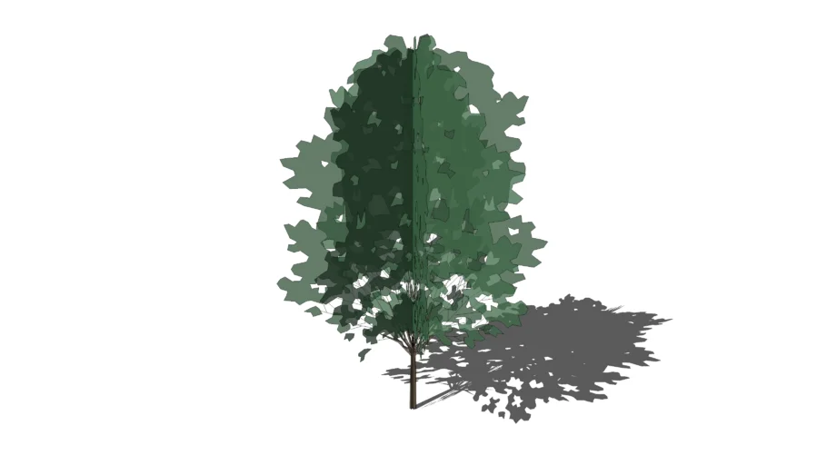 Tree | 3D Warehouse