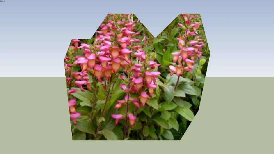 DIGIPLEXIS APRICOT | 3D Warehouse