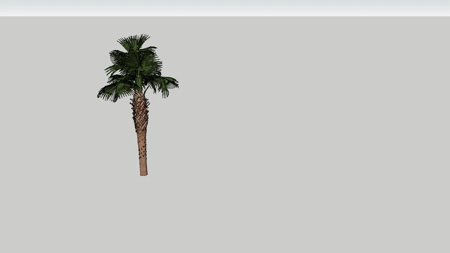 Palm tree-14 | 3D Warehouse
