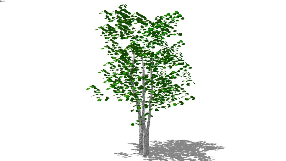tree1 | 3D Warehouse