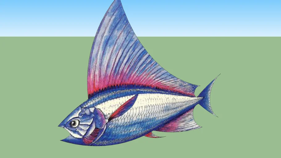 2d fish | 3D Warehouse