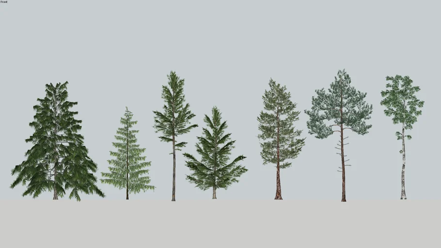 Tree E | 3D Warehouse