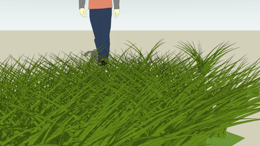 3D Grass | 3D Warehouse
