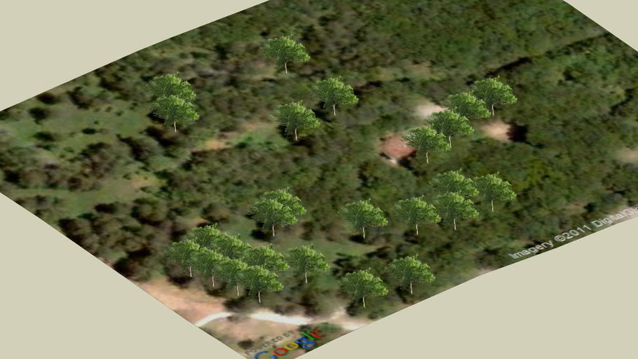 bukova suma | 3D Warehouse