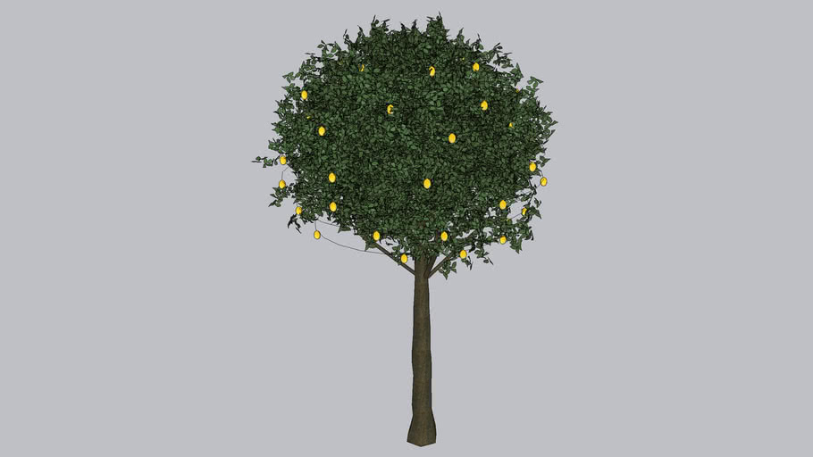 Citrus lemon | 3D Warehouse