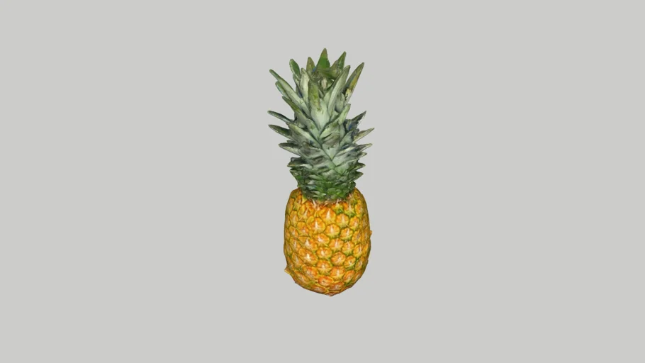 Ananas | 3D Warehouse