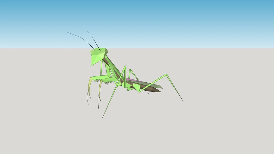 Simple Mantis | 3D Warehouse