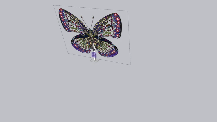 butterfly | 3D Warehouse