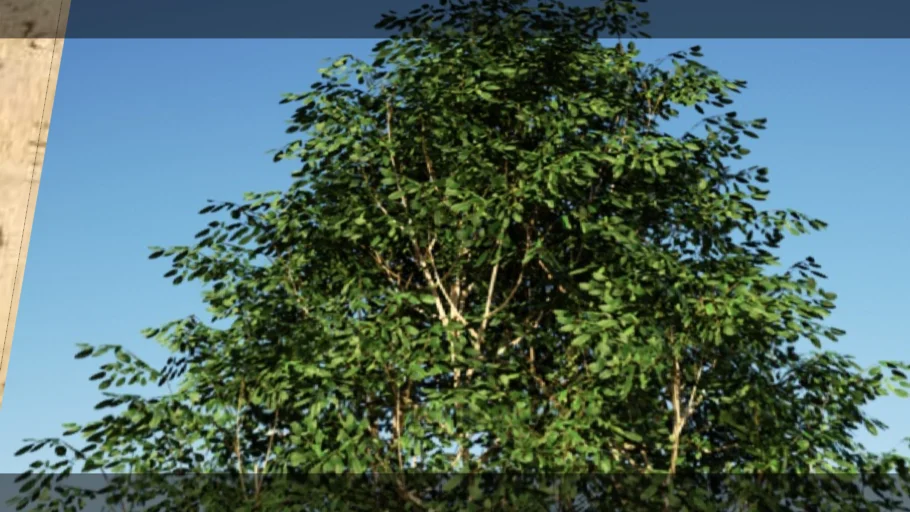 Generic Tree | 3D Warehouse