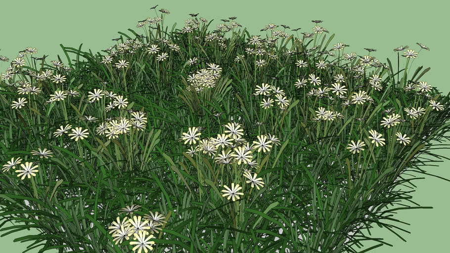 GRAMA 02 | 3D Warehouse