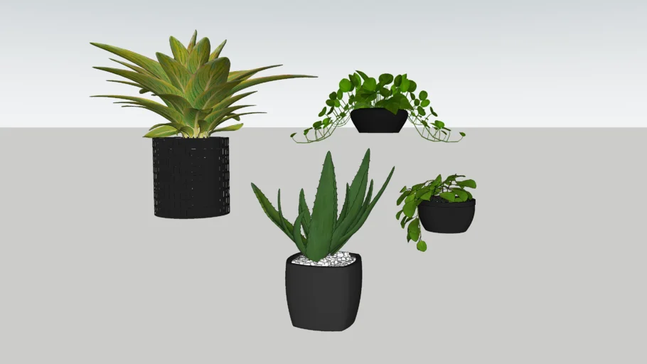 plantas | 3D Warehouse