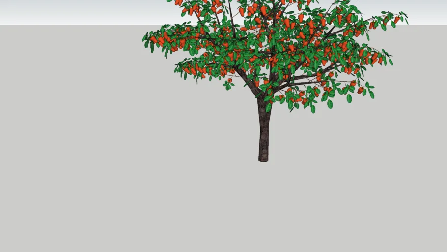 pe de caju | 3D Warehouse