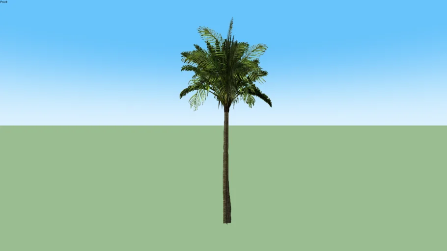 tree 2d | 3D Warehouse