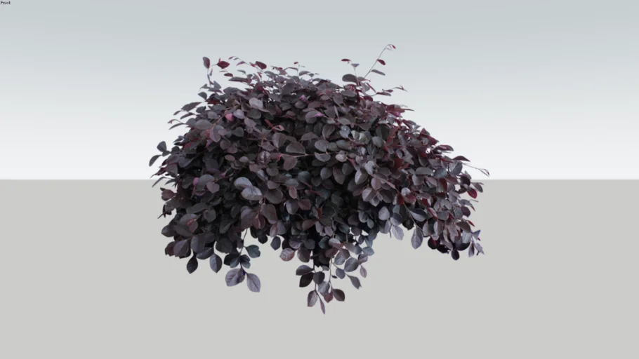 Purple Pixie TM | 3D Warehouse