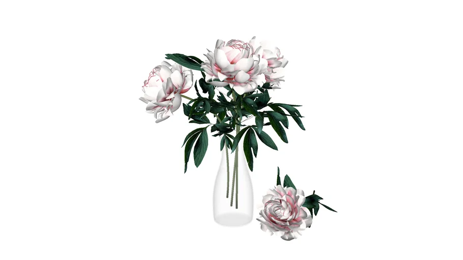 WhiteFlower | 3D Warehouse