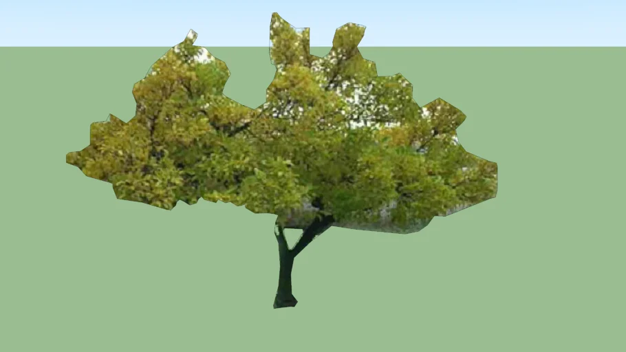 2D Face-me tree | 3D Warehouse