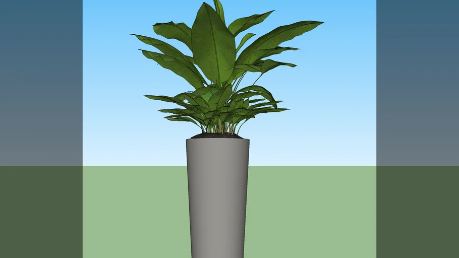 Minimal plant | 3D Warehouse