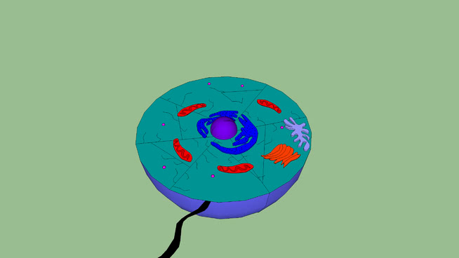 Bio Cell Model | 3D Warehouse