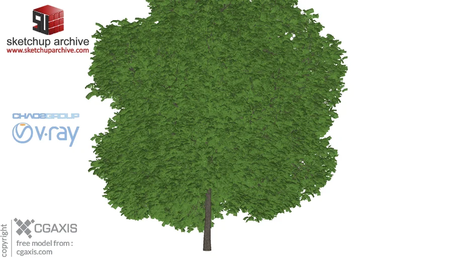 PLANTAS | 3D Warehouse