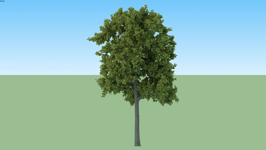 tree2 | 3D Warehouse