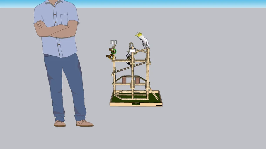 BIRDS GYM.skp | 3D Warehouse