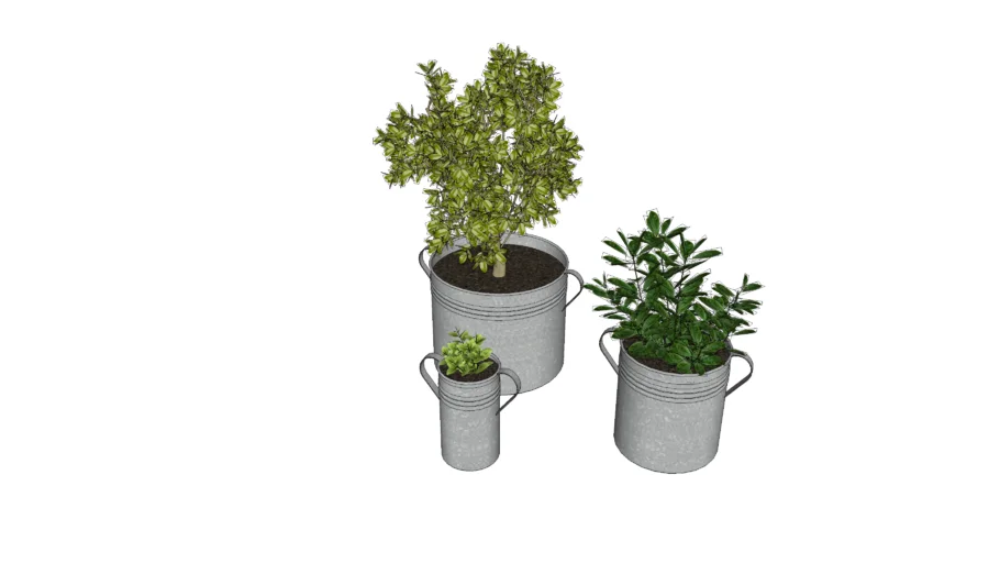 Plants | 3D Warehouse