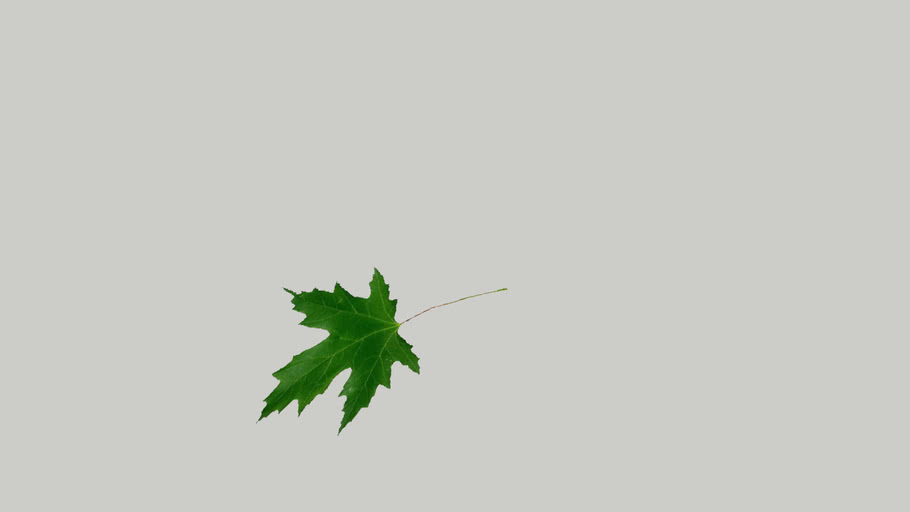 Leaf | 3D Warehouse