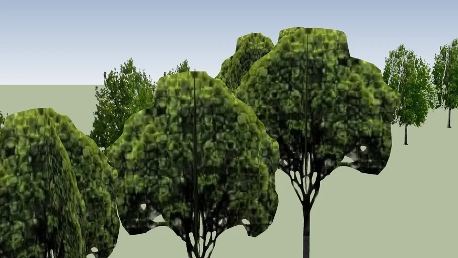 Trees in Shushi, Artsakh, NKR | 3D Warehouse