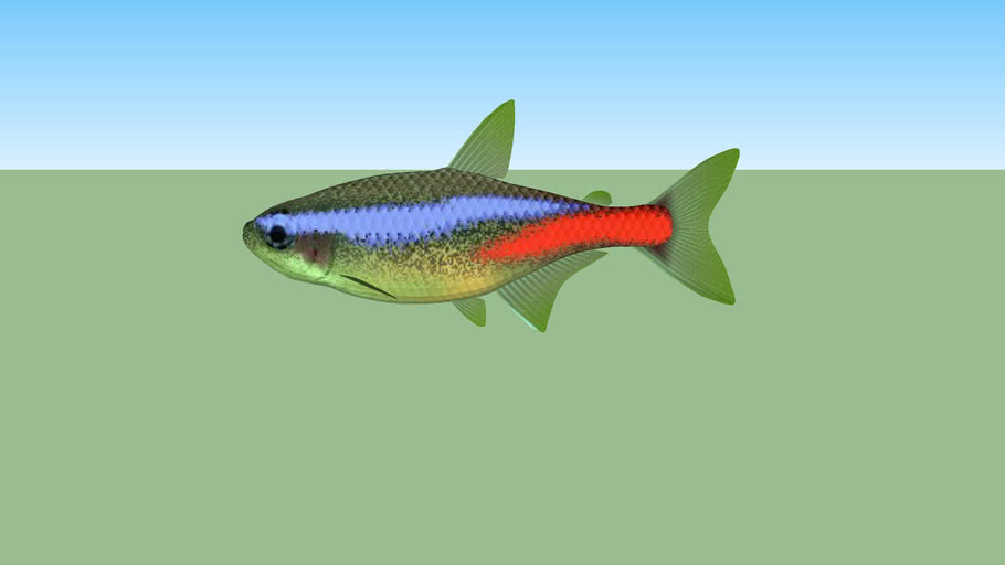 Fish 3d | 3D Warehouse