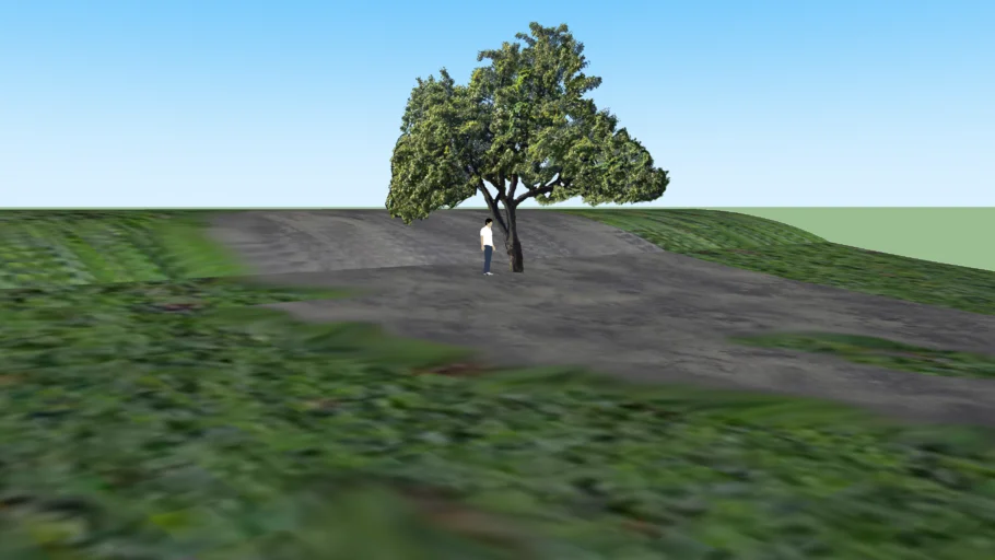 Wild Apple tree | 3D Warehouse