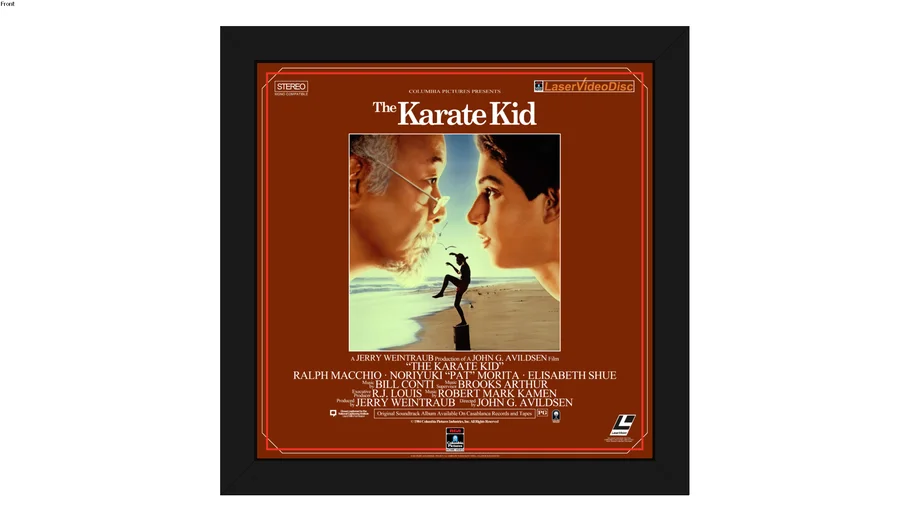Framed Karate Kid Laserdisc Cover | 3D Warehouse
