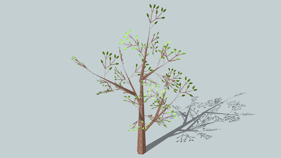 Tree | 3D Warehouse