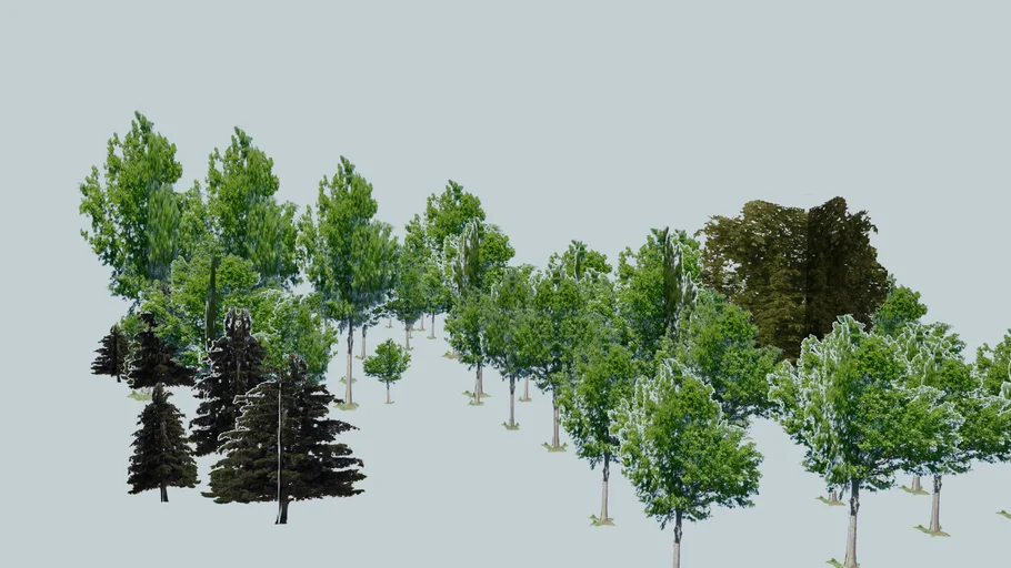 Copaci | 3D Warehouse